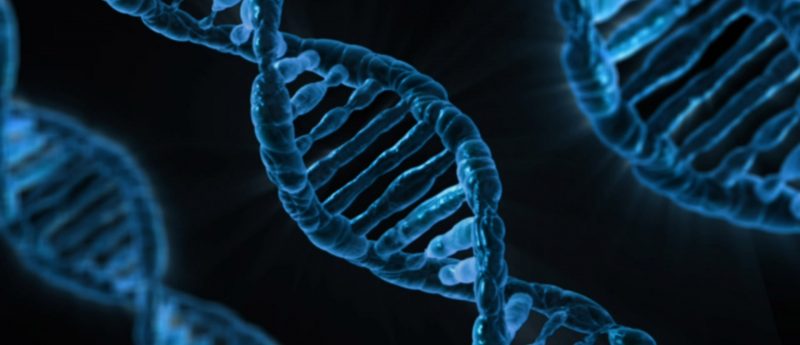 The future of neuro-epigenetics: an interview with Colum Walsh - Neuro ...