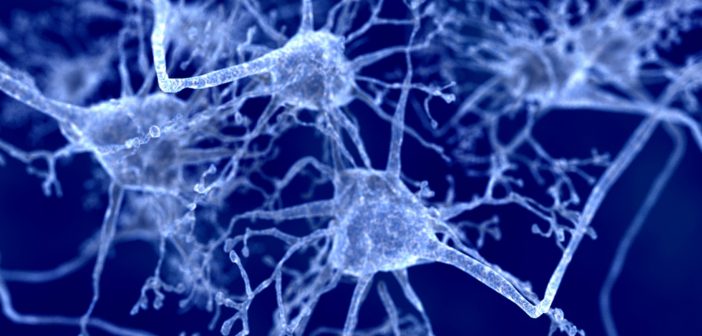 The exciting field of neuro-repair in multiple sclerosis: an interview ...