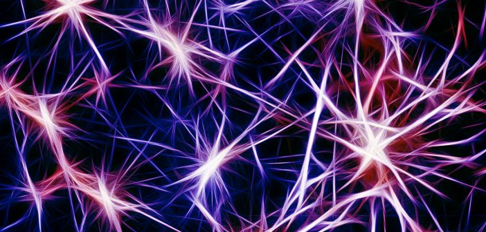 Spotlight on neuromodulation - Neuro Central