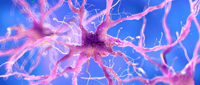 Brain swelling could play a protective role following TBI – Neuro Central